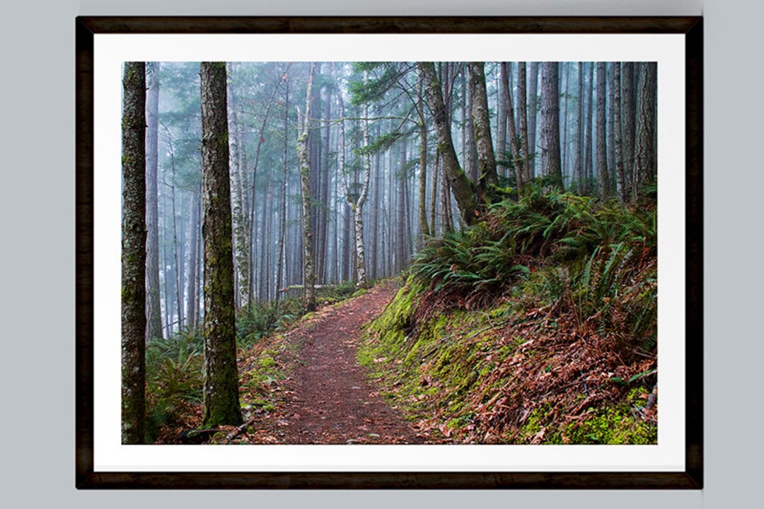 Landscape Photography, Forest Print, Woodland Print, Fog, Misty, Forest ...