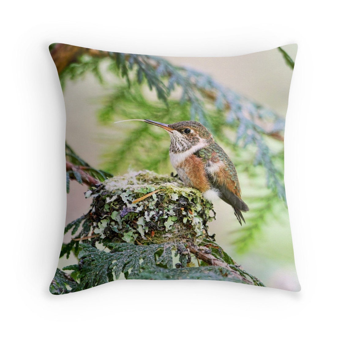 Bird Decor Hummingbird Pillow Hummingbird Cushion Nature | Etsy