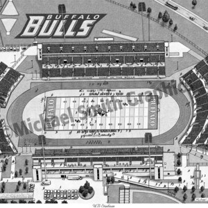 University at Buffalo Bulls Art, UB Stadium Art Print, UB Bulls Fan ...