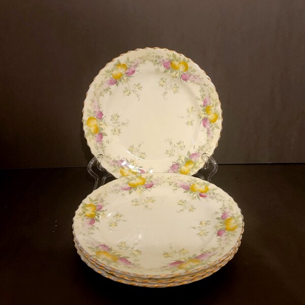 Radford Bone China - Etsy
