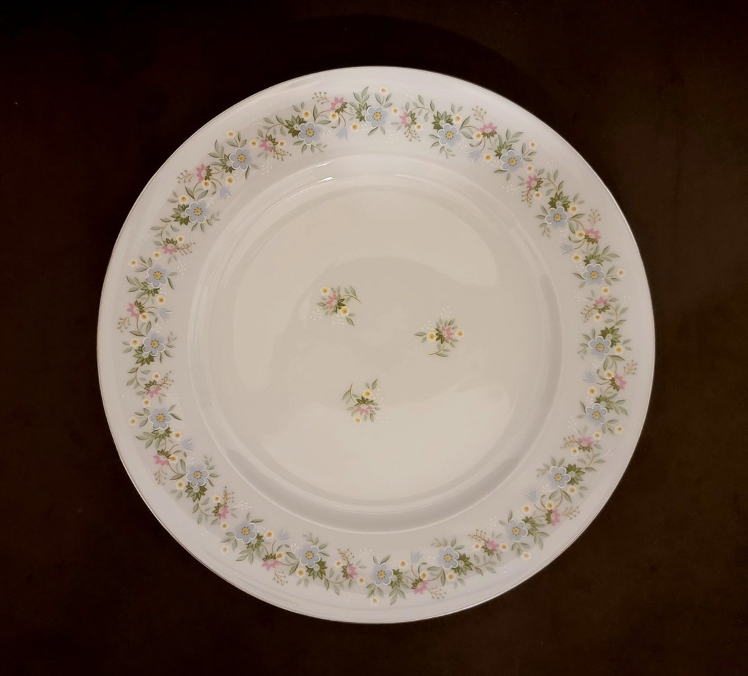 Six (6) - 10" Johann Haviland "forever Spring" Dinner Plates / Two (2 ...