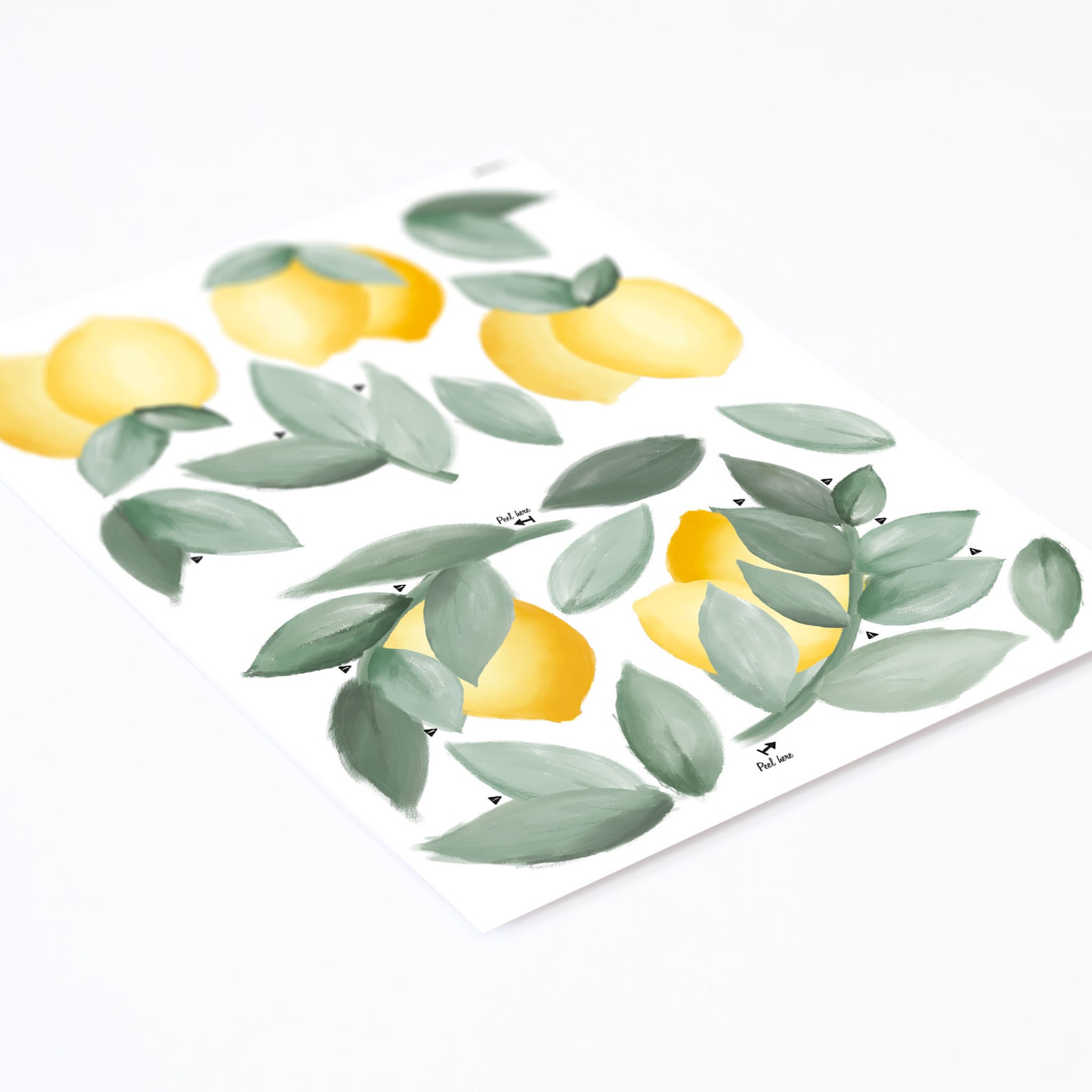 Lemon Wall Decals Plastic-free Wall Stickers | Etsy