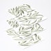 Botanical Olive Leaves and Branches Wall Decals, Plastic-free Wall ...