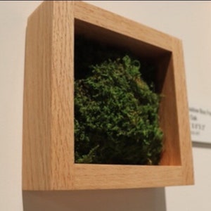 Shadow Box Frame - Moss Art - Moss Wall - Wall Shadow Box - Oak . - Etsy