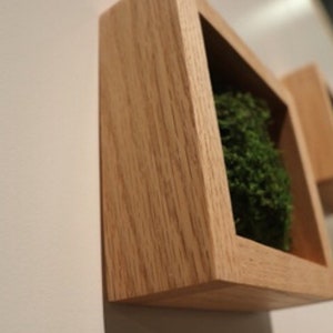 Shadow Box Frame - Moss Art - Moss Wall - Wall Shadow Box - Oak . - Etsy