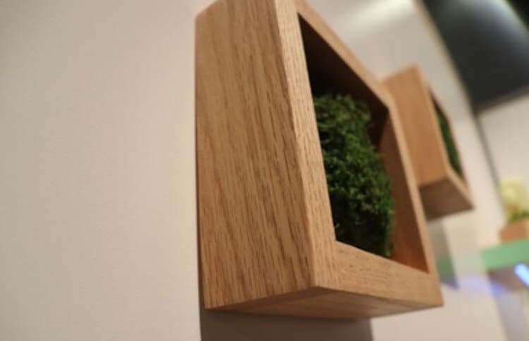 Shadow Box Frame moss art Moss wall Wall shadow box | Etsy