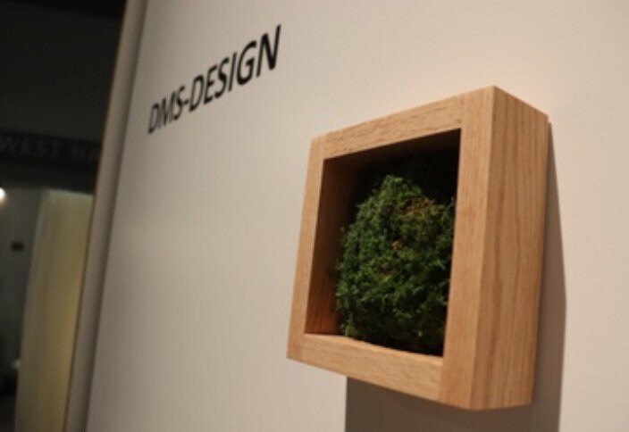 Shadow Box Frame moss art Moss wall Wall shadow box | Etsy