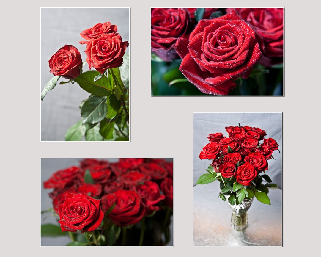 Set of 4 Red Roses Photography Fine Art Prints Wall Decor Floral Prints ...
