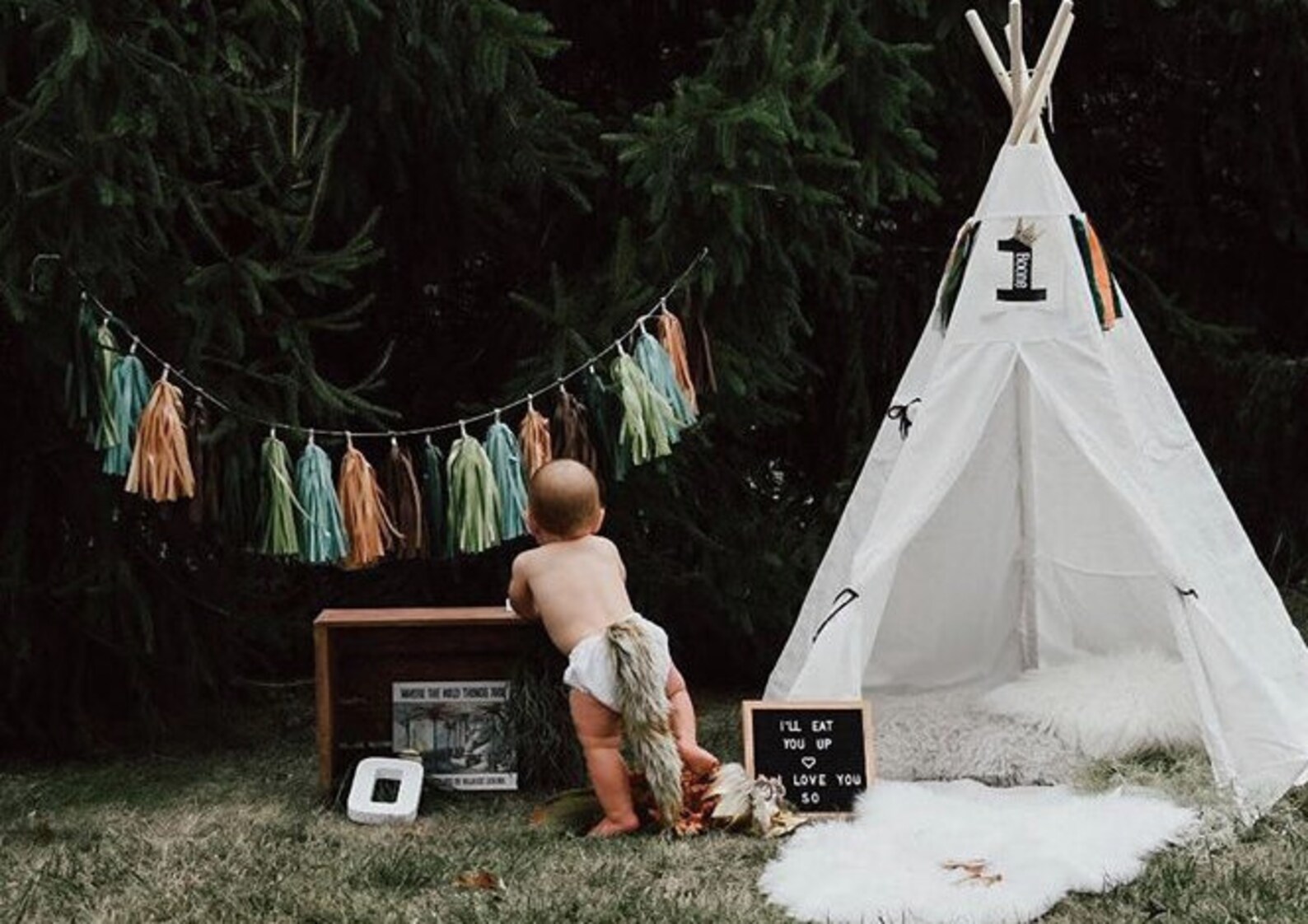 Where the Wild Things Are Party Decor Wild Things Theme Wild - Etsy