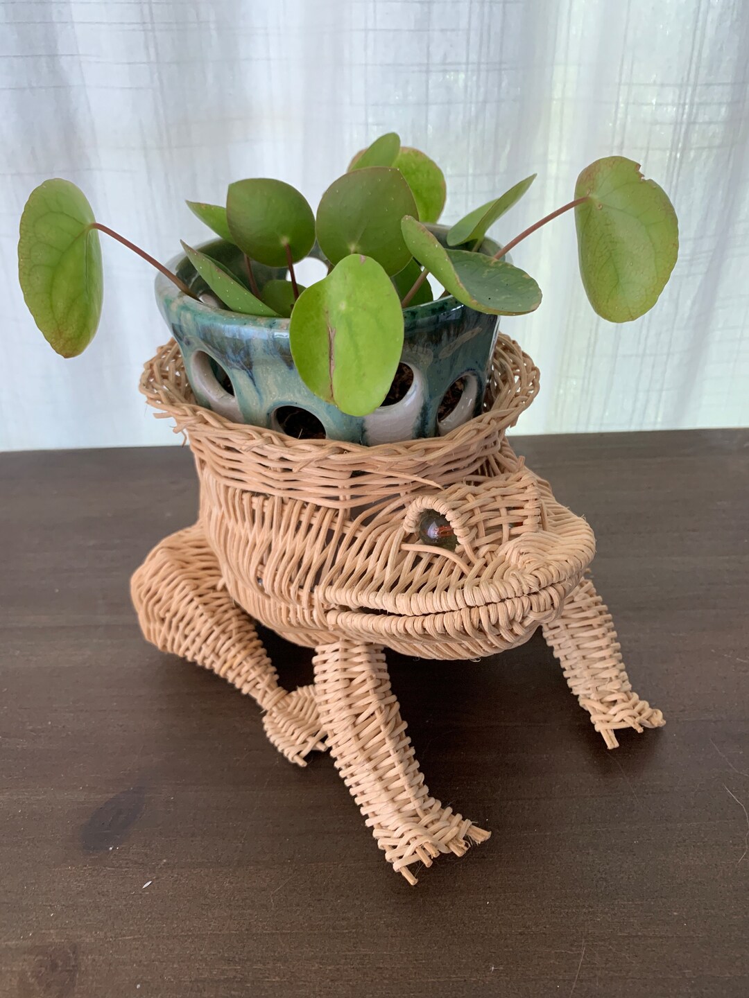 Wicker Rattan Frog Planter Basket - Etsy