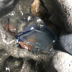 Handmade Indoor Fountain With Unique Organic Freeform Shape. Perfect ...