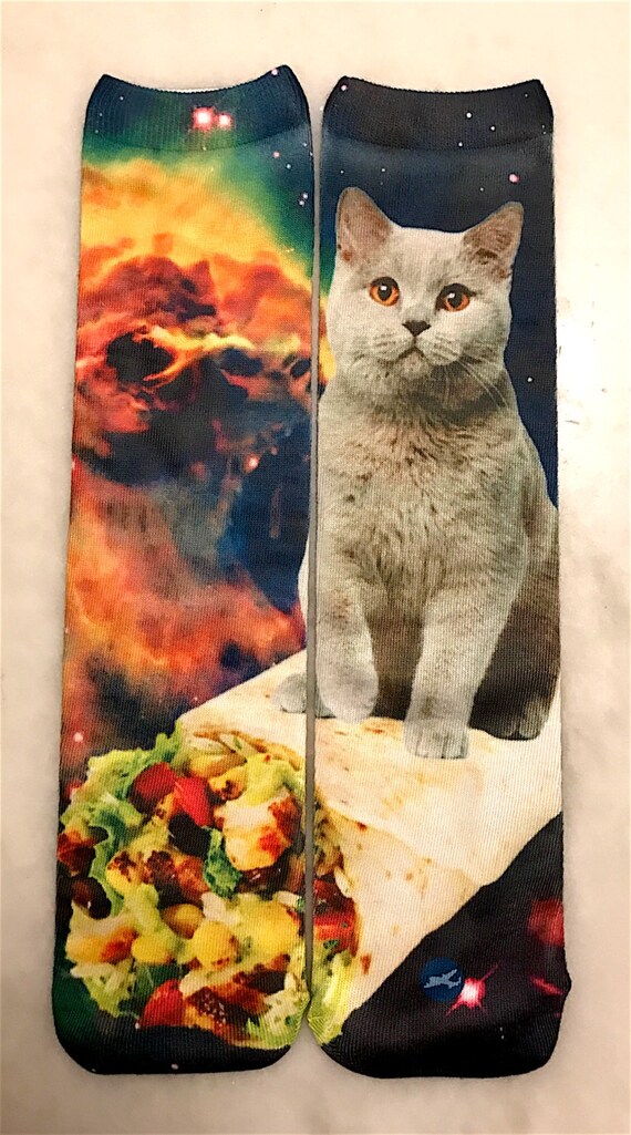 Burrito Cat Space