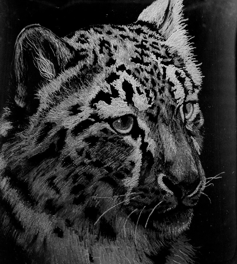 Snow Leopard Cub Large Pillar Candle Holder. Engraved Glass. - Etsy