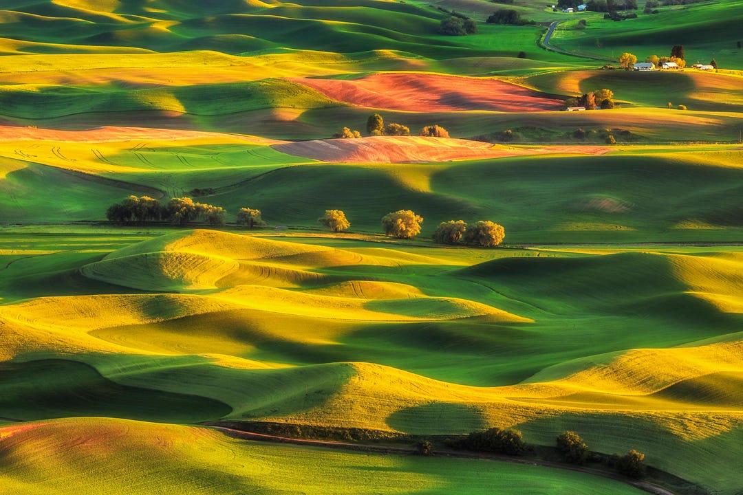 Palouse Landscape Photography, Farm Art Print, Palouse Landscape ...