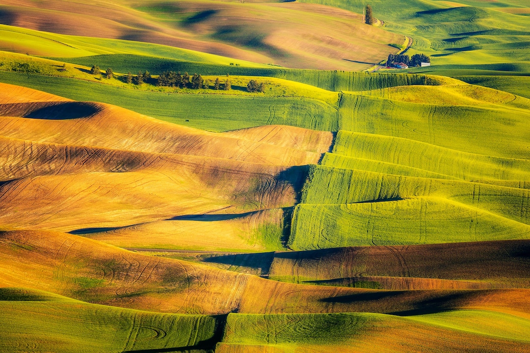 Palouse Landscape Photography, Rural Art Print, Steptoe Butte, Palouse ...