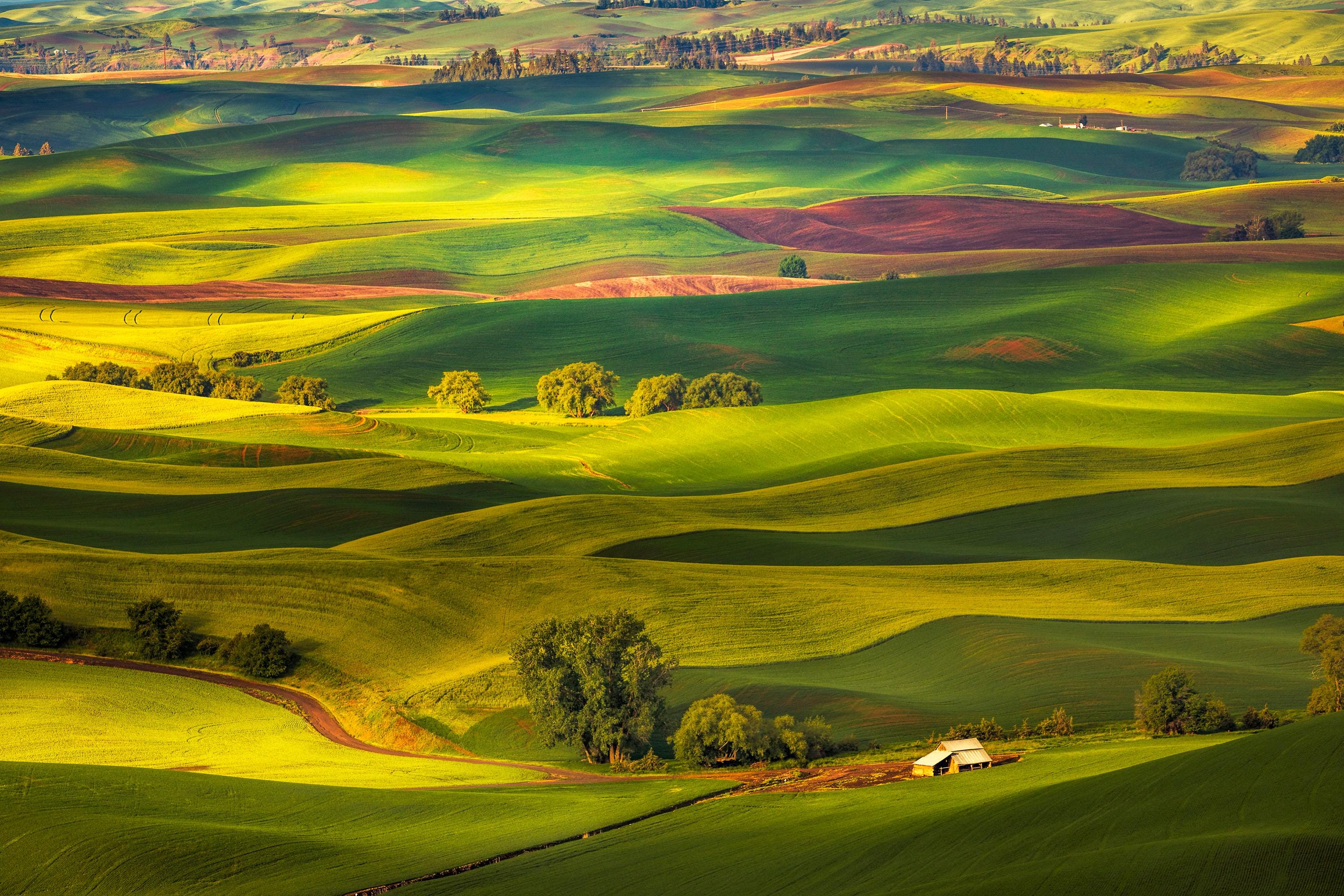 Palouse Landscape Photography, Palouse Art Print, Palouse Landscape ...