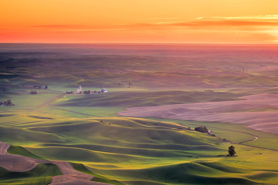 Palouse Landscape Photography, Farm Art Print, Palouse Landscape ...