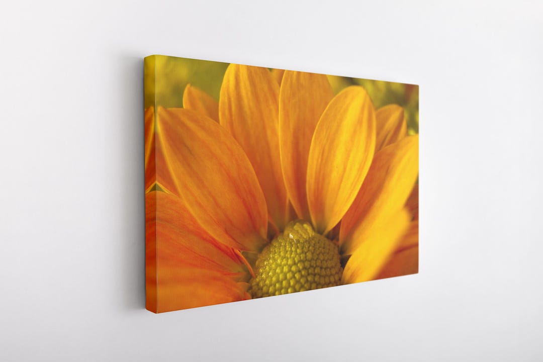 Aster Flower Water Drop Canvas Wrap, Vibrant Floral Wall Art for Home ...