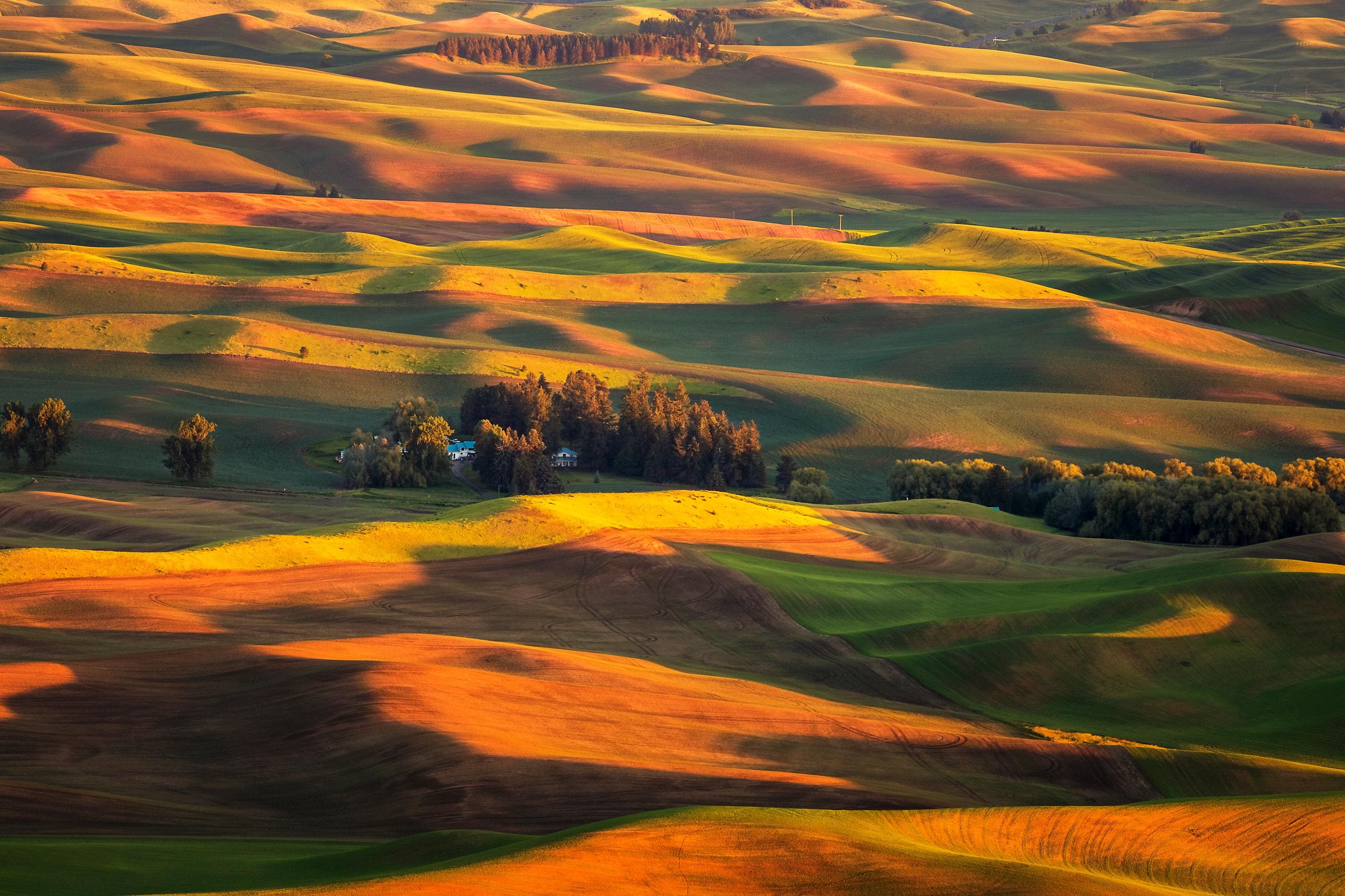 Palouse Landscape Print, Rural Art Print, Steptoe Butte, Palouse ...