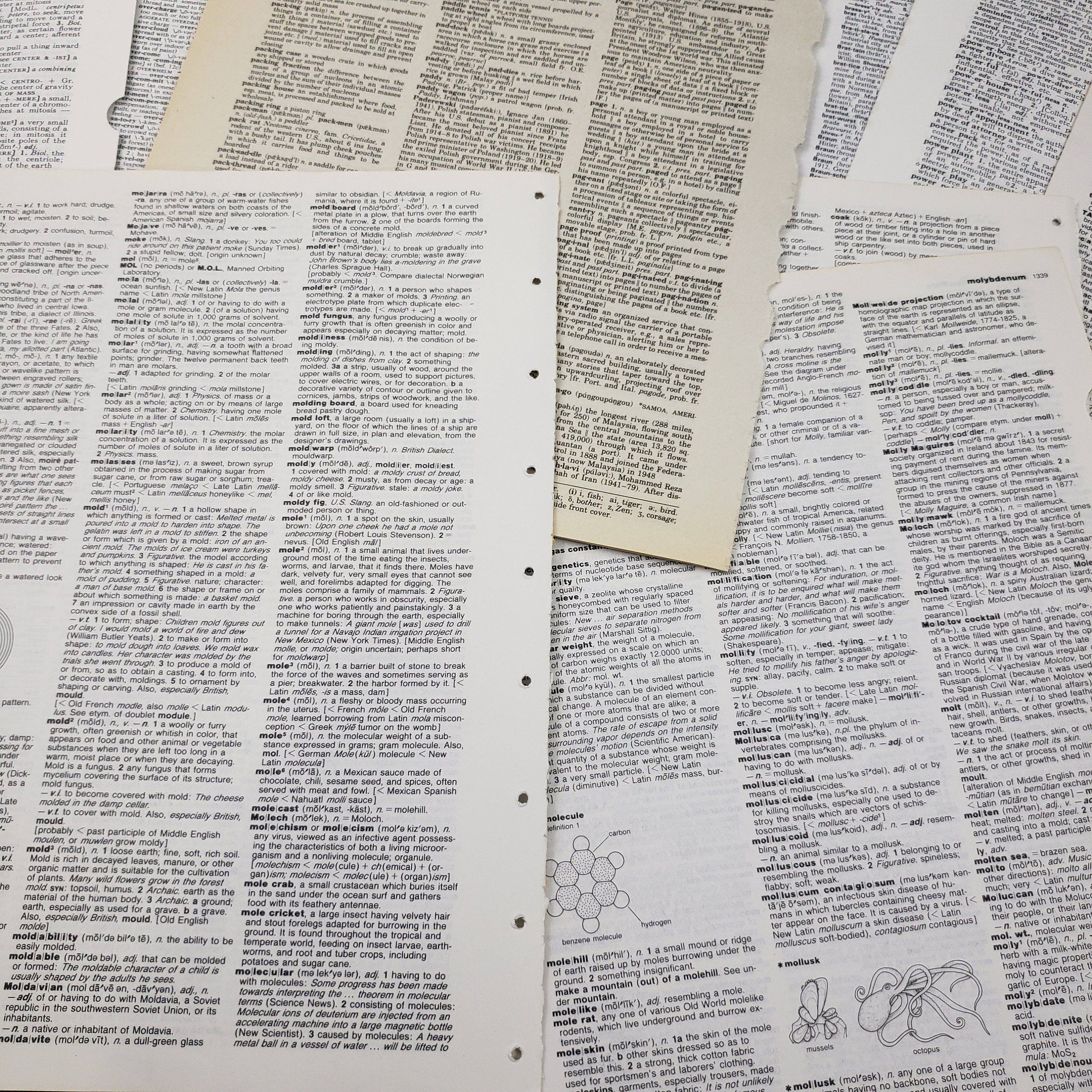 100 Vintage Dictionary Pages Book Craft Paper Scrapbook Supplies Sheets ...
