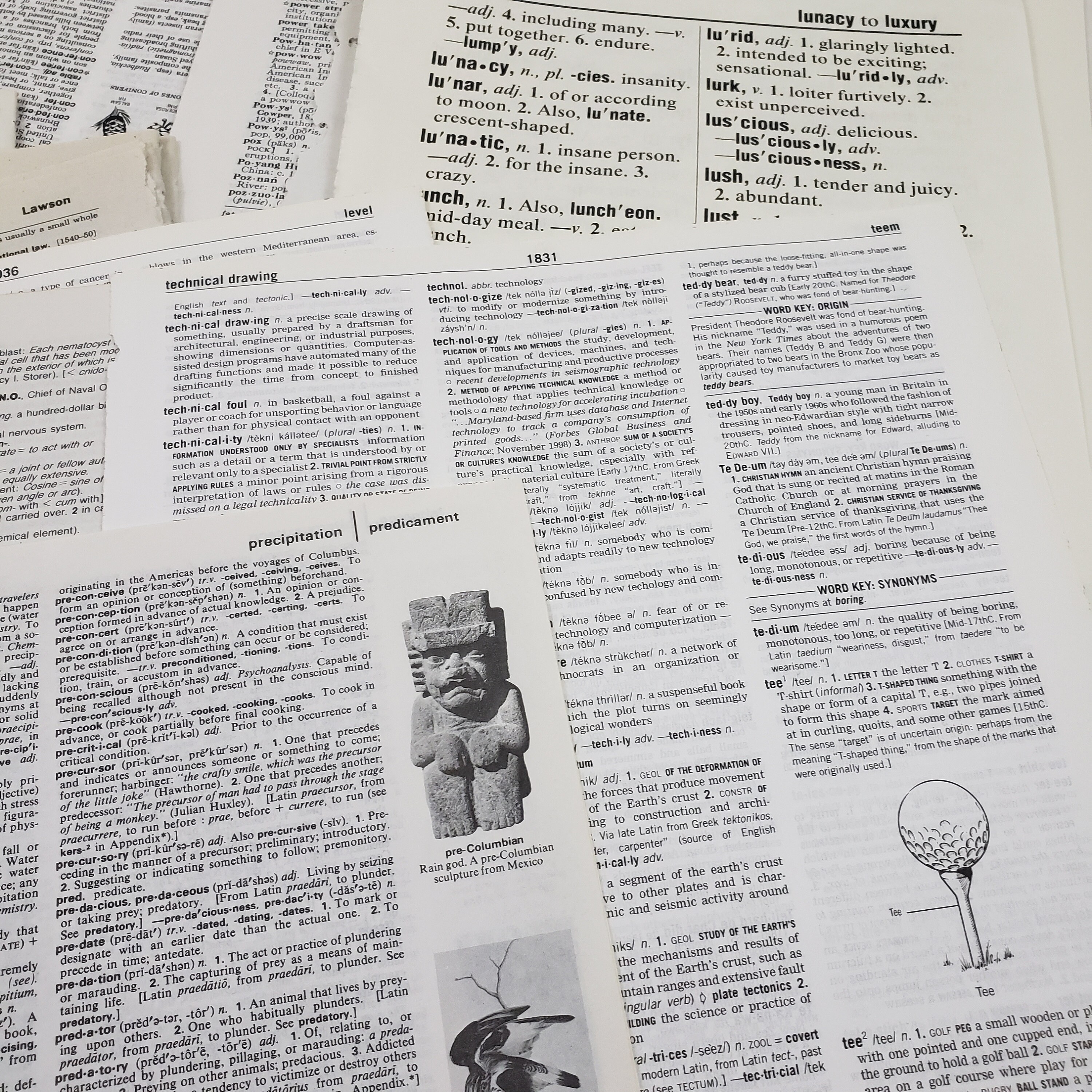 100 Vintage Dictionary Pages Book Craft Paper Scrapbook | Etsy