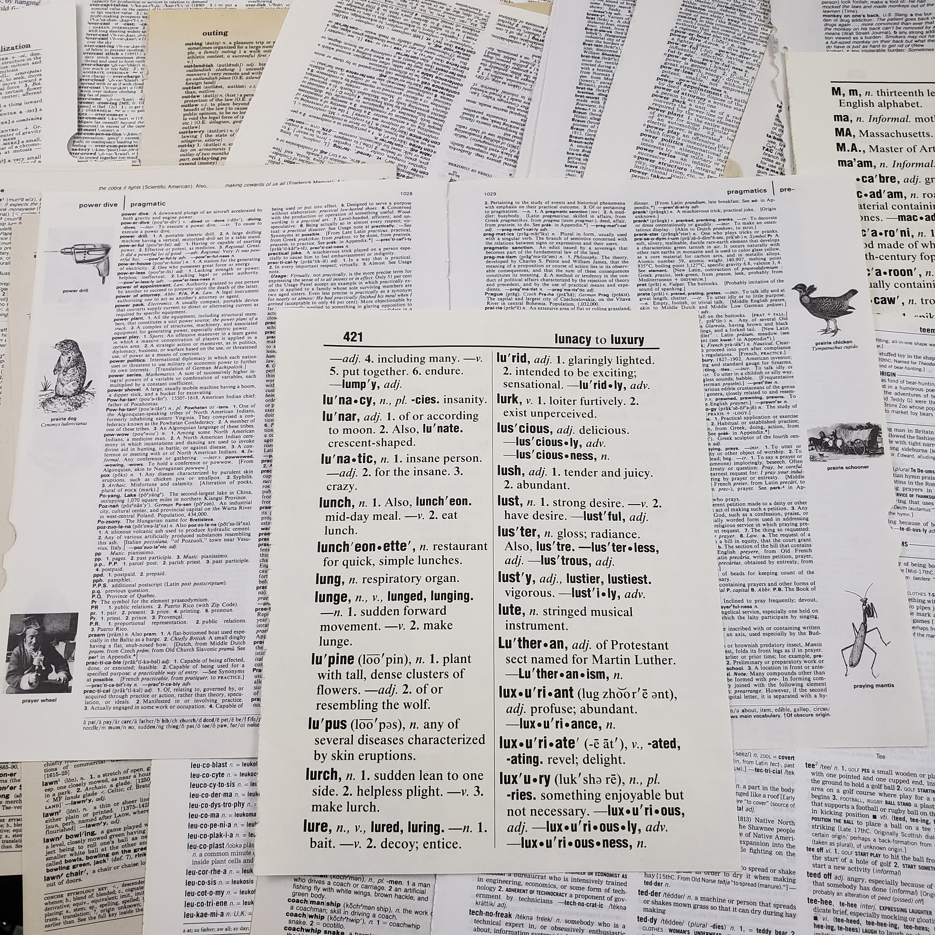 100 Vintage Dictionary Pages Book Craft Paper Scrapbook Supplies Sheets ...