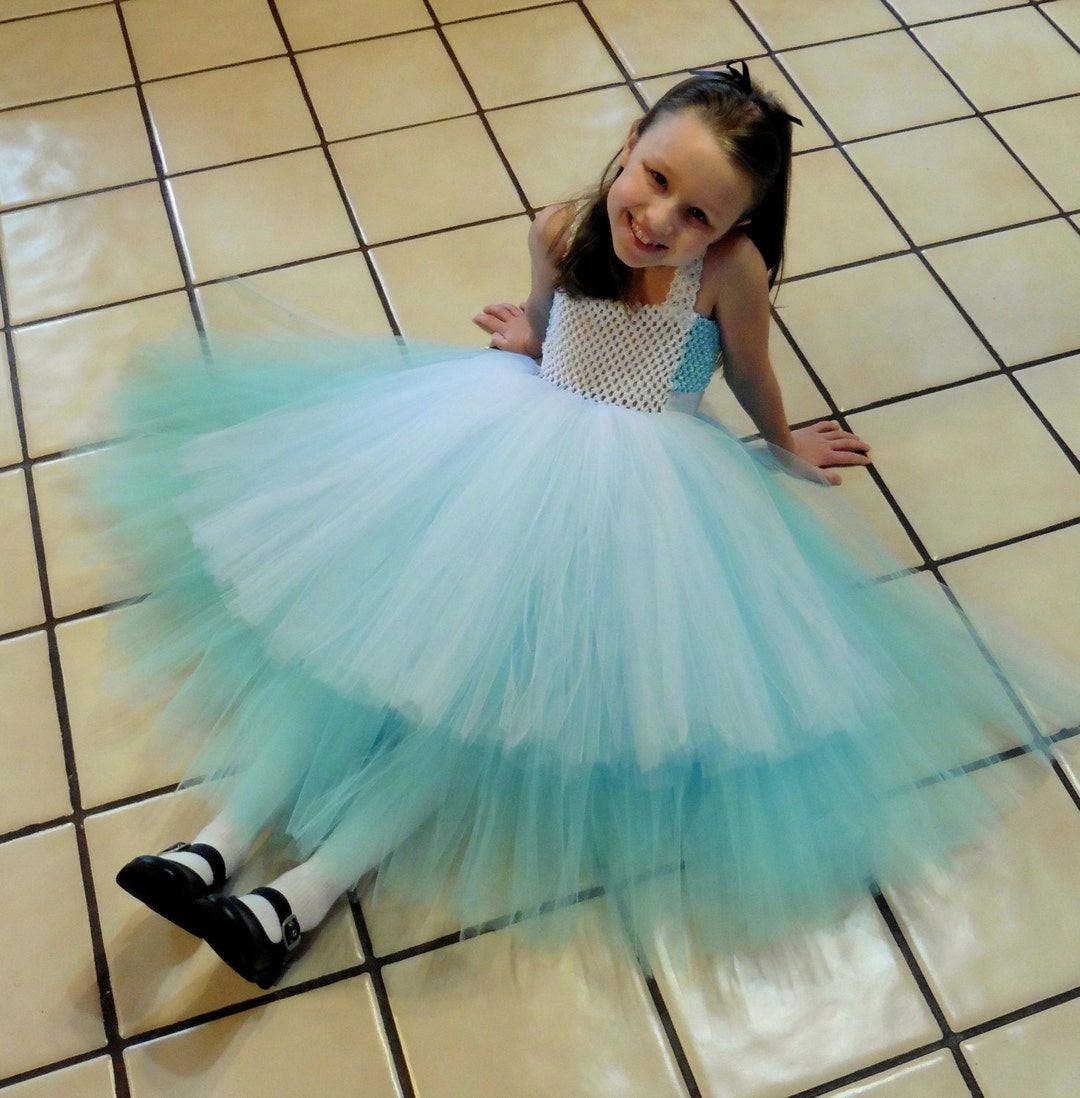 Blue & White Tutu Costume From the Land of Wonder - Etsy