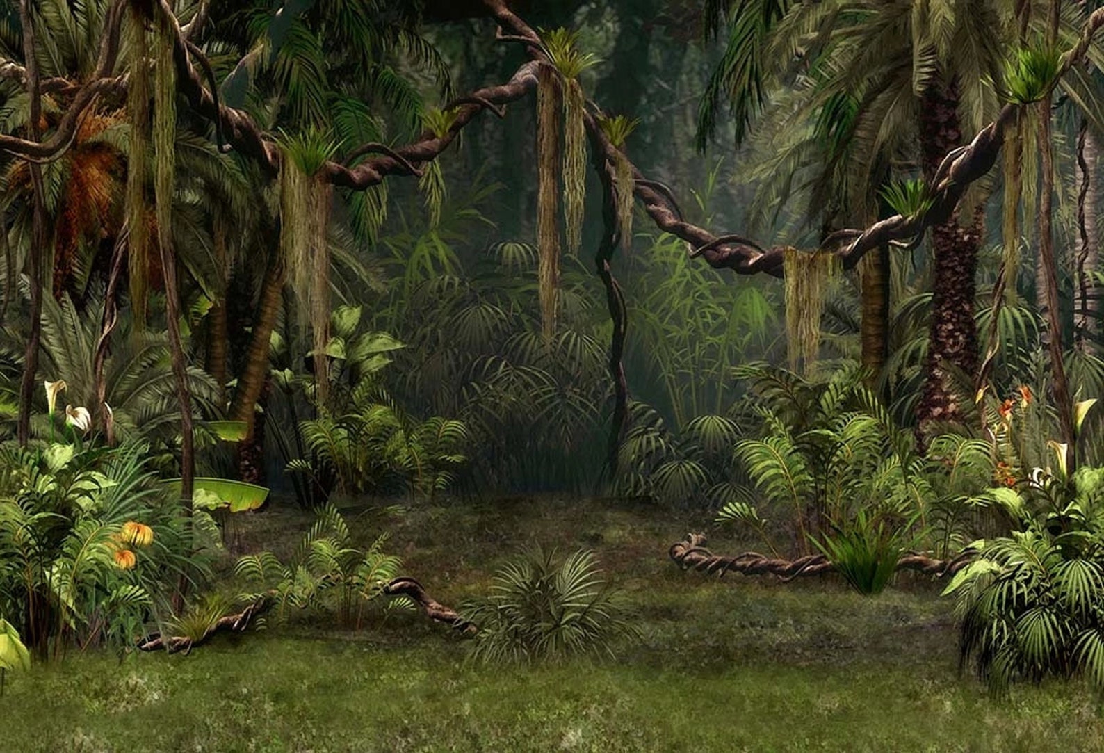 Photography Backdrop Forest Jungle Photo Background Studio - Etsy