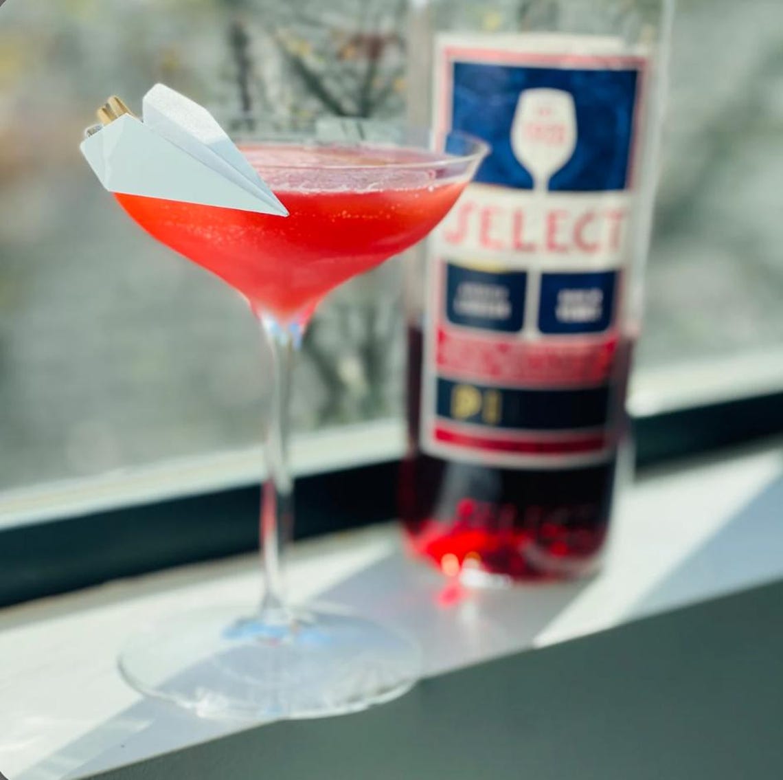 2 Paper Planes Set of 100 Cocktail Garnish Wedding Decor time Flies ...