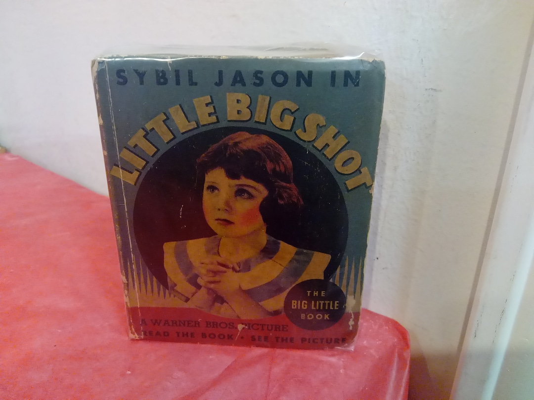 Vintage Big Little Book, Little Big Shot, Tillie Toiler, Brenda Starr ...