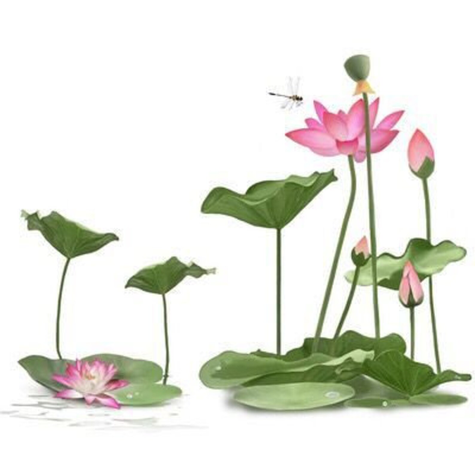 Lotus Wall Decals Art Stickers Waterproof Living Room Girls | Etsy