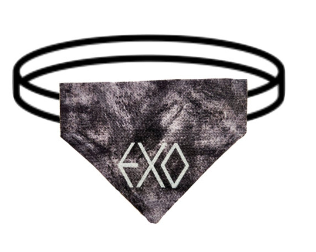 EXO Inspired Fabric Pet Bandana Kpop Accessories - Etsy
