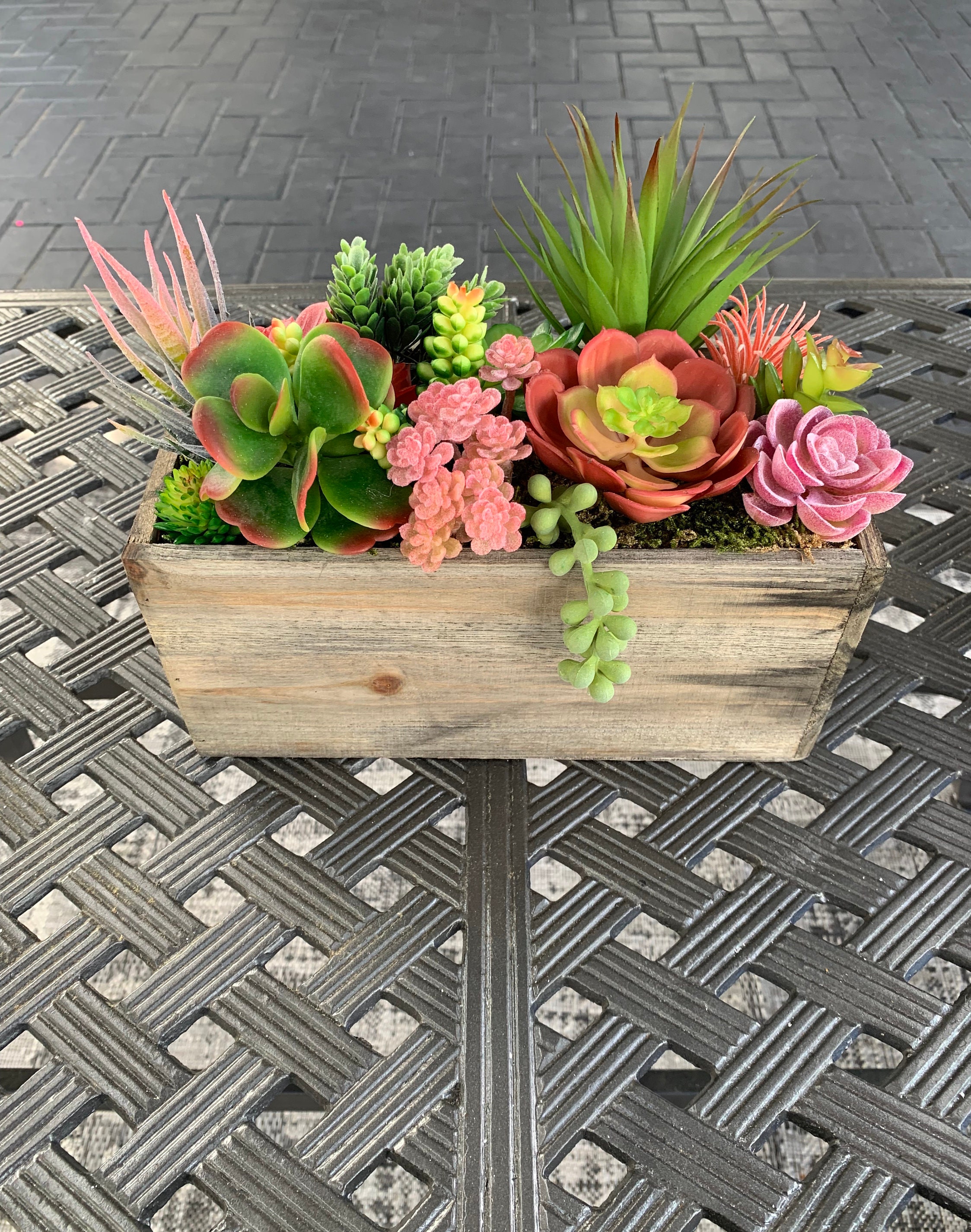 Succulent Rectangle Arrangement