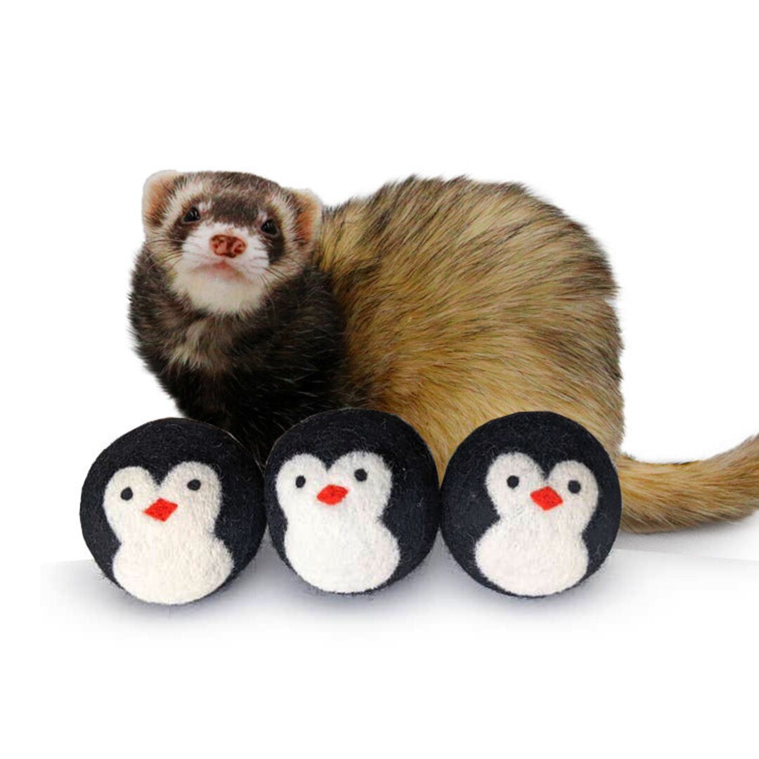 Ferret Stashing Balls penguins Set of 3 - Etsy