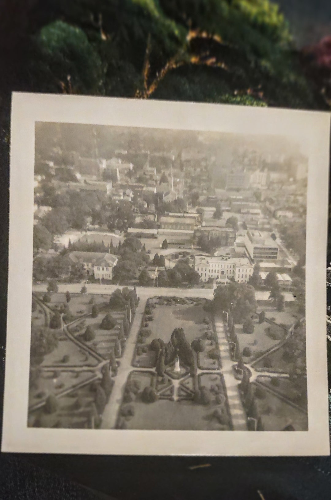 1940's Snapshot Photo Baton Rouge Louisiana Original Photograph Taken ...