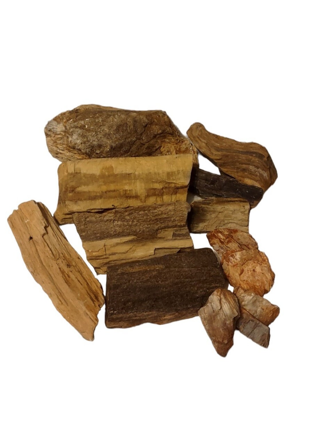 Petrified Wood Ossified Tree Lot Some From Central Georgia Some From ...
