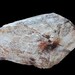 HUGE Petrified Wood Ossified Tree From Central Georgia White Oak 27 ...