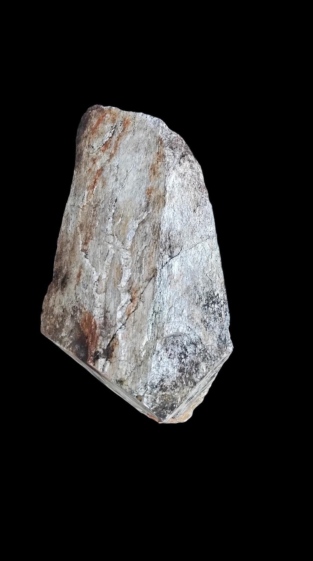 HUGE Petrified Wood Ossified Tree From Central Georgia White Oak 27 ...