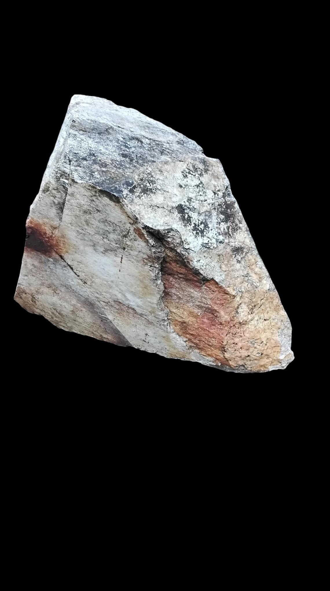 HUGE Petrified Wood Ossified Tree From Central Georgia White Oak 27 ...