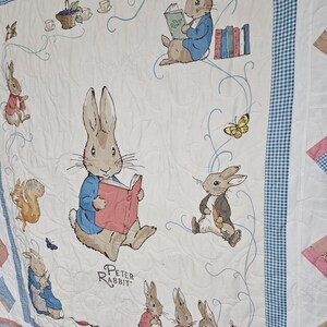 Tale of Peter Rabbit Quilt - Just Reduced - Etsy