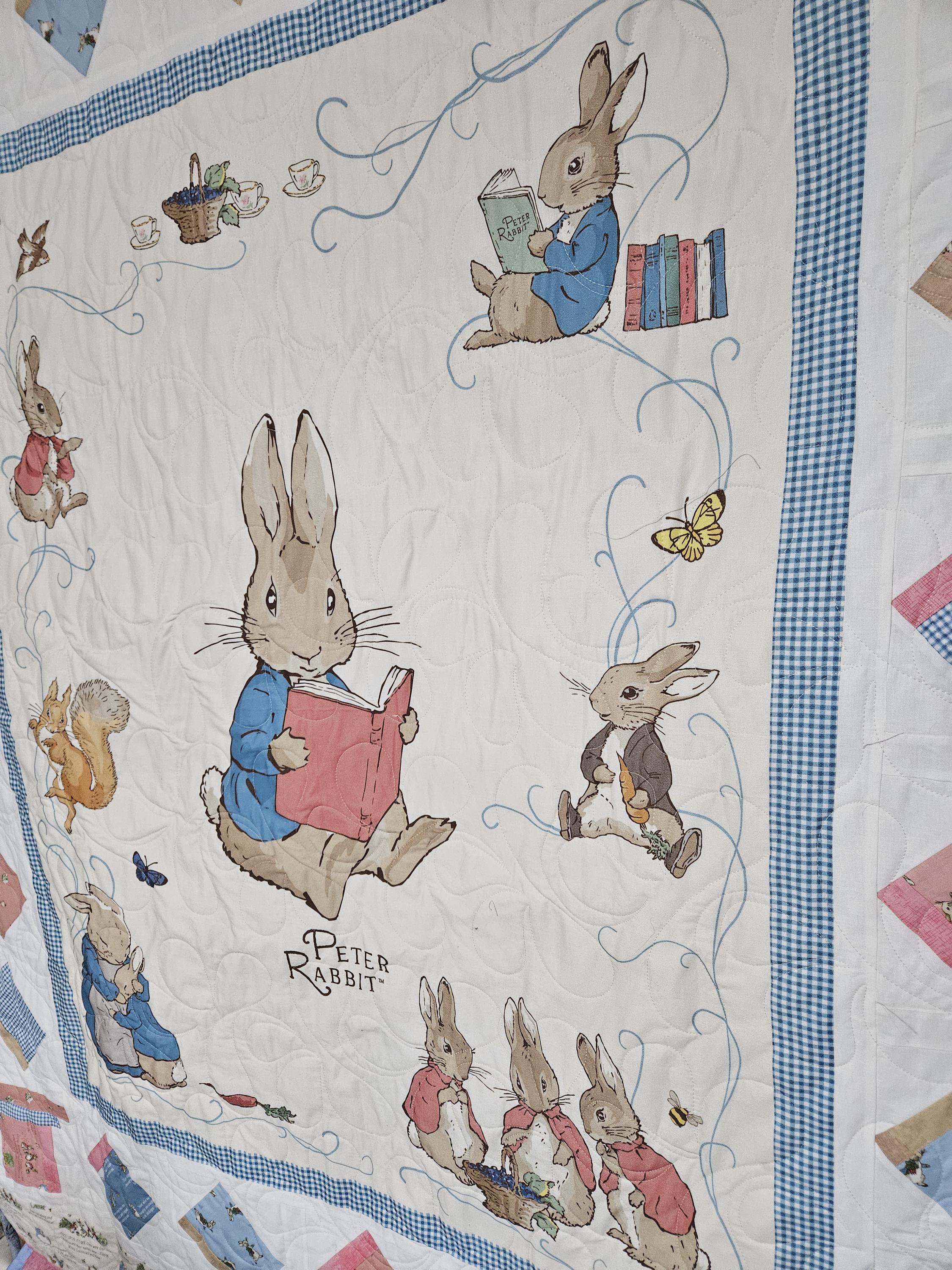 Tale of Peter Rabbit Quilt - Etsy