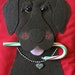 Chocolate Lab Christmas Stocking - Etsy