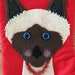 Siamese Cat #1 Christmas Stocking - Etsy