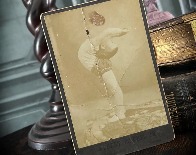Antique Rare Circus Sideshow Contortionist Albert Powell Jr. Cabinet ...