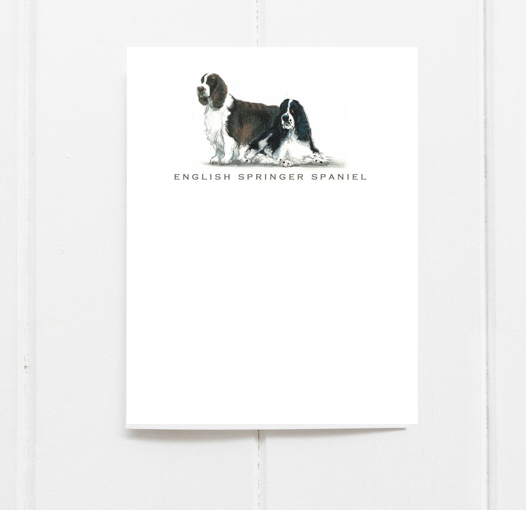 English Springer Spaniel Note Cards Springer Spaniel - Etsy