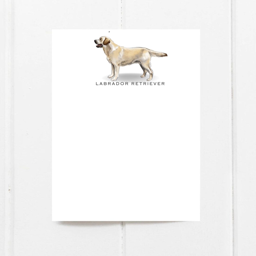 Dog Note Cards Yellow Labrador Retriever Labrador Stationery Dog ...