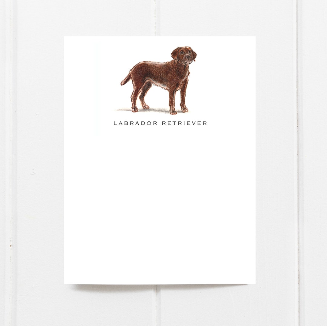 Chocolate Labrador Retriever Note Cards Dog Stationery Dog Stationary ...