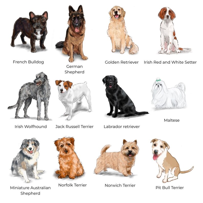 Personalized Dog Holiday Card: Custom Hand Illustrated - Etsy