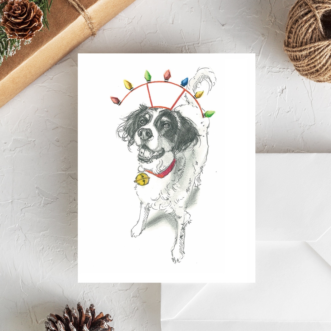 English Setter II Holiday Cards | English Setter Christmas Cards ...