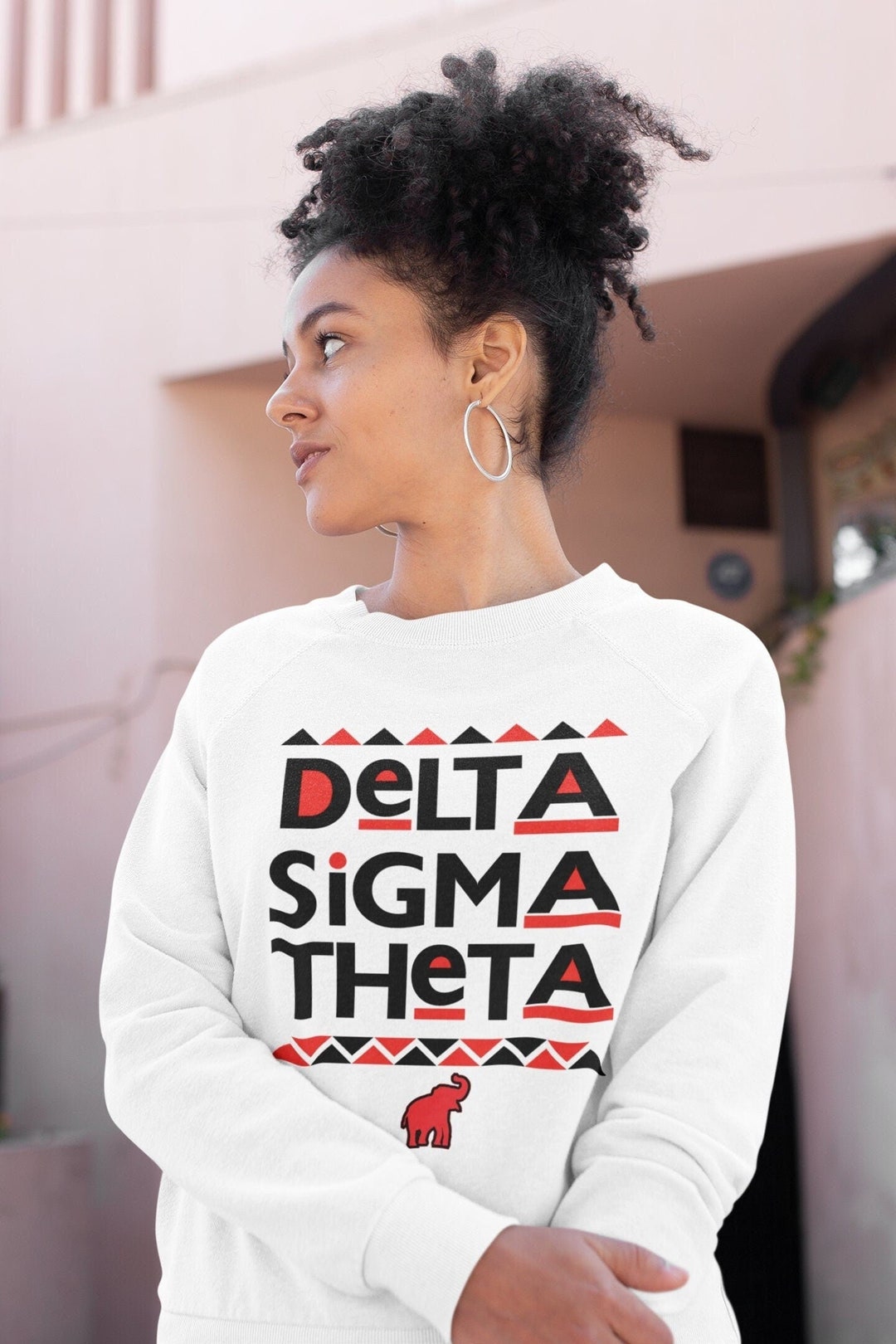 Delta Sigma Theta Retro 90's Sweatshirt - Etsy